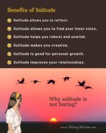 6 Reasons Why Solitude is Not Boring: Solitude vs loneliness!